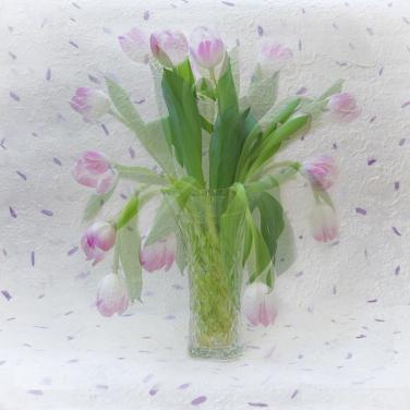 Welcome to North Norfolk Photographic Society | North Norfolk ...