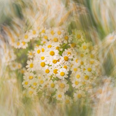 Welcome to North Norfolk Photographic Society | North Norfolk ...